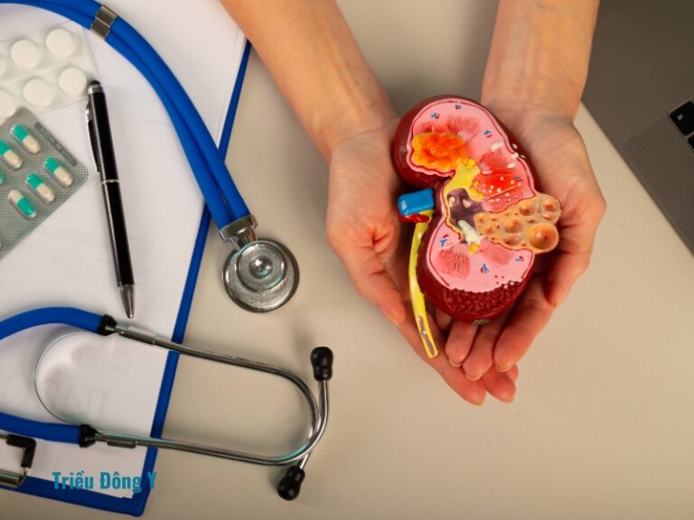 Học Thuyết Tạng Phủ