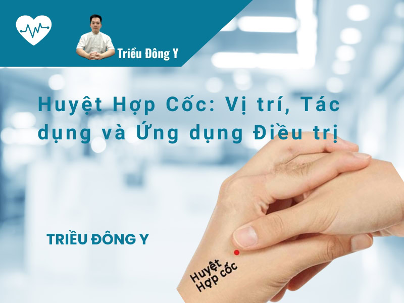 Huyệt Hợp Cốc: Vị trí, Tác dụng và Ứng dụng Điều trị