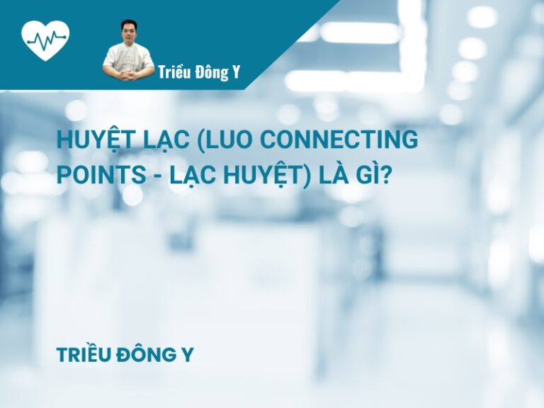 Huyệt Lạc (Luo Connecting Points - Lạc Huyệt) là gì?
