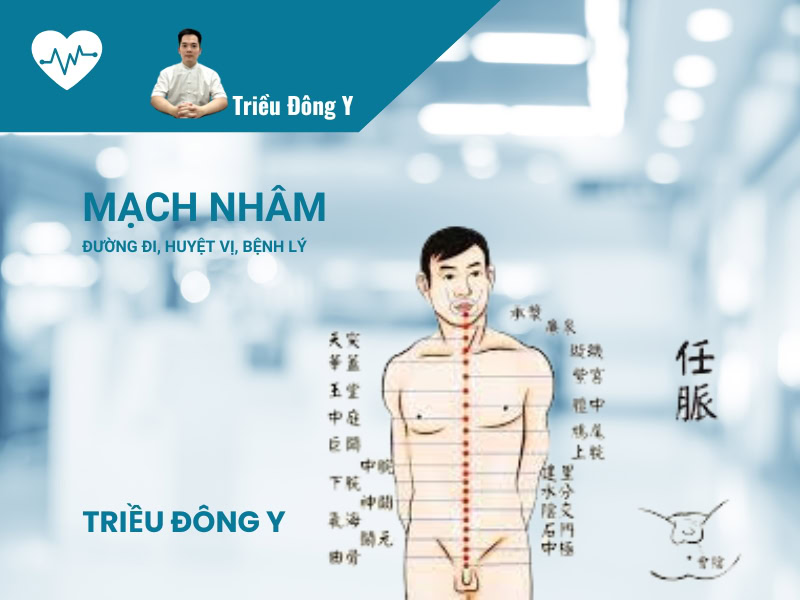Mạch Nhâm: Đường đi, huyệt vị, bệnh lý theo Y Học Cổ Truyền